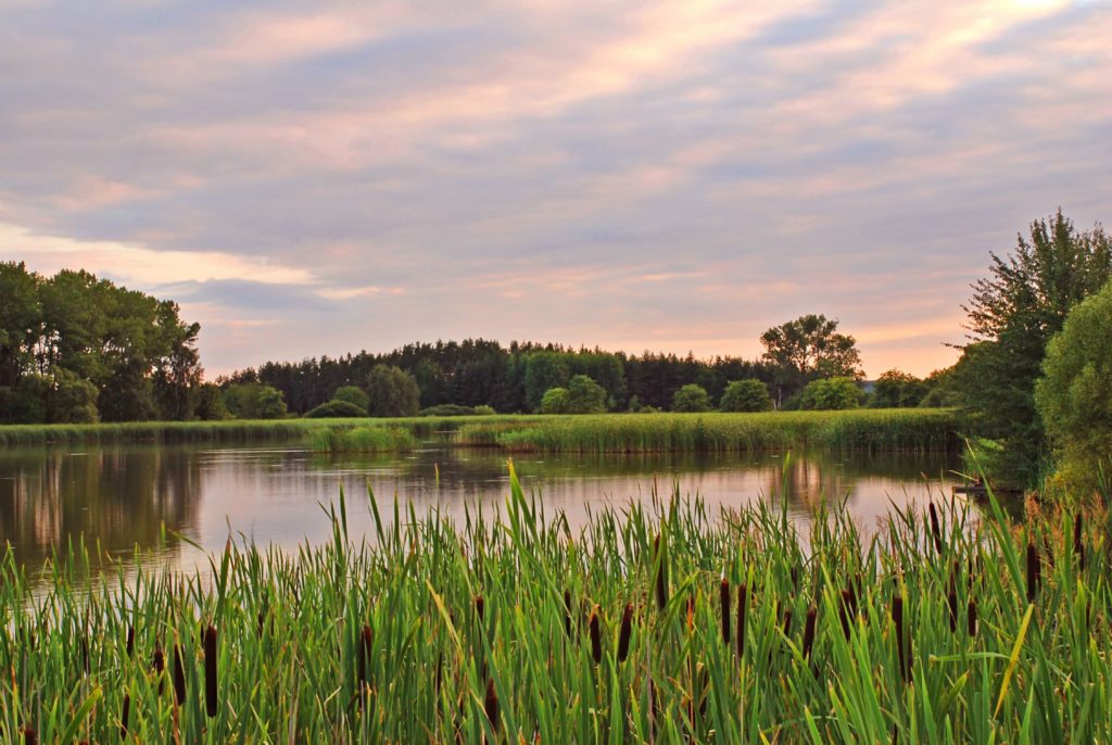 USACE, EPA Issue 2020 Navigable Waters Protection Rule