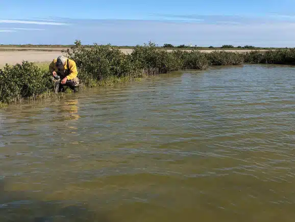 Environmental Science - Freese and Nichols