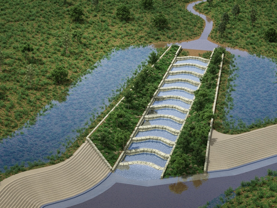Dams and Levees - Freese and Nichols