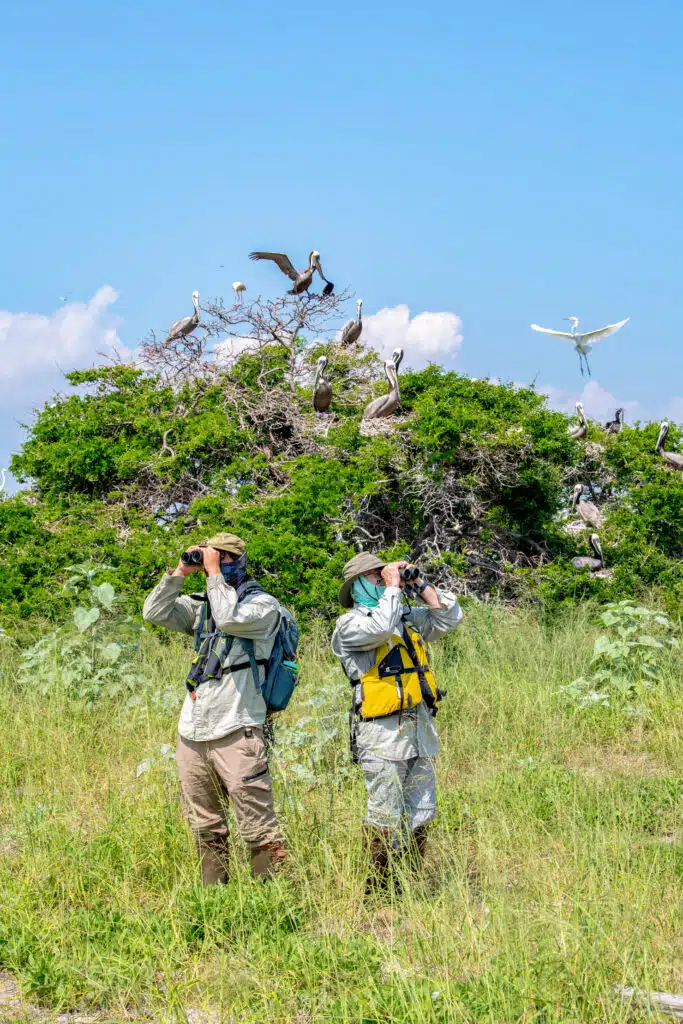Texas Park & Wildlife Magazine Features Audubon Texas Bird Count